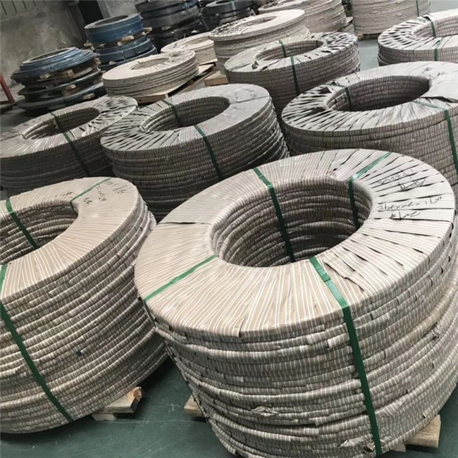 SUS304 Stainless Steel Strip